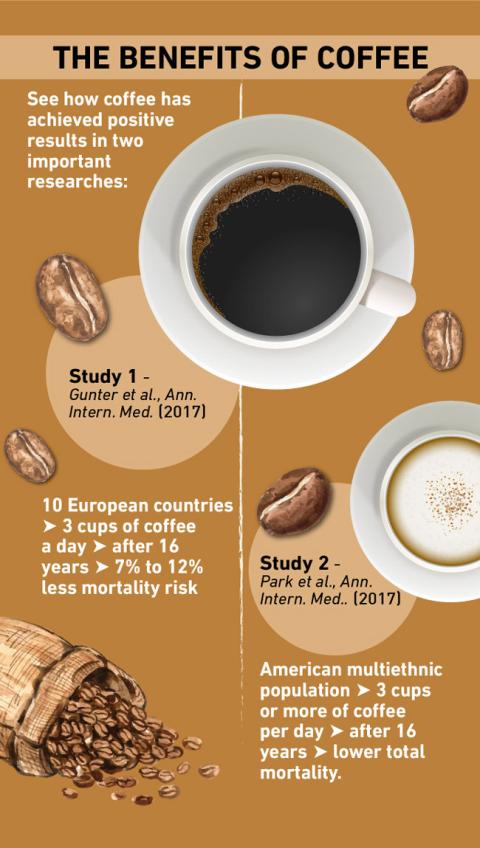 Coffee consumption is good for your health: myth or truth? | Syngenta